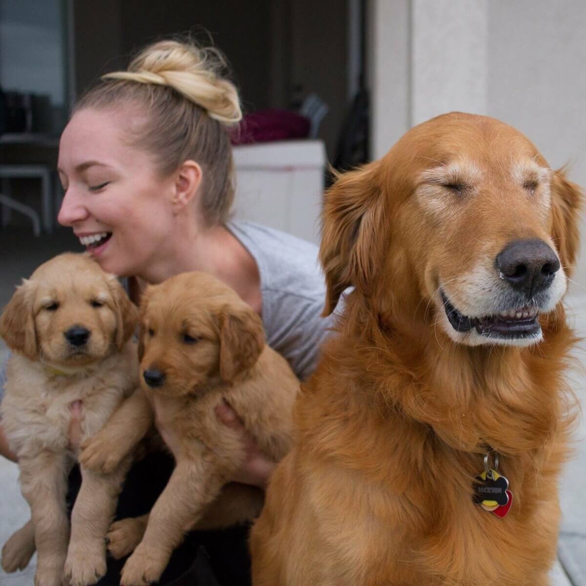 23 Dogs That Will Make Your Day WAY Better