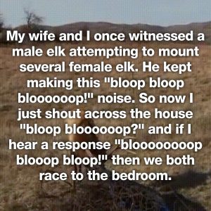 25 Funniest Ways To Tell Someone You Want To Bang