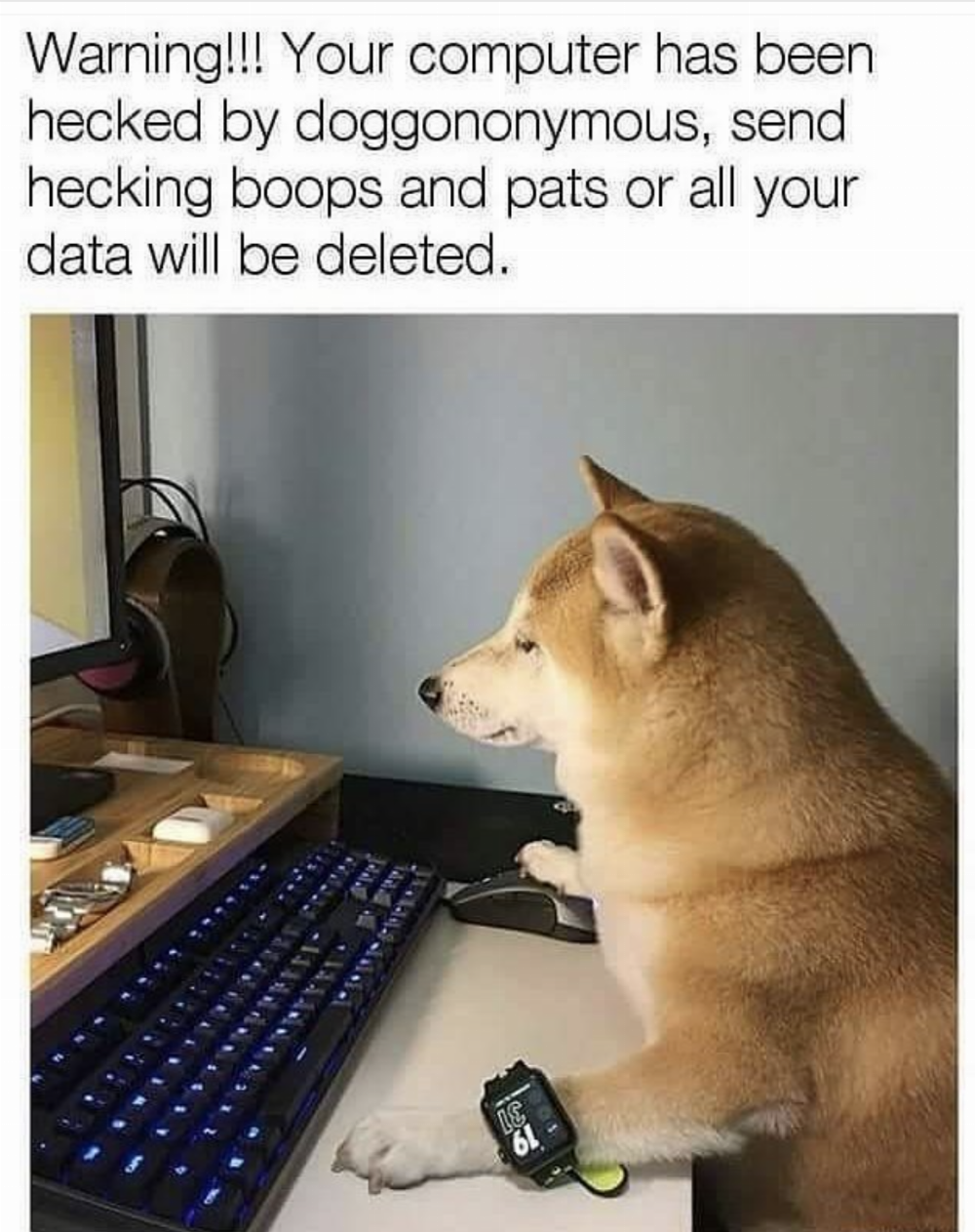 Random Memes Thatll Make You Spit Out Your Morning Coffee August 30
