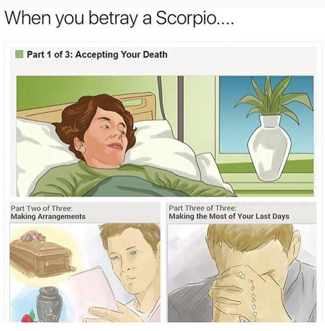 25 Scorpio Jokes That Are Just So Dang True