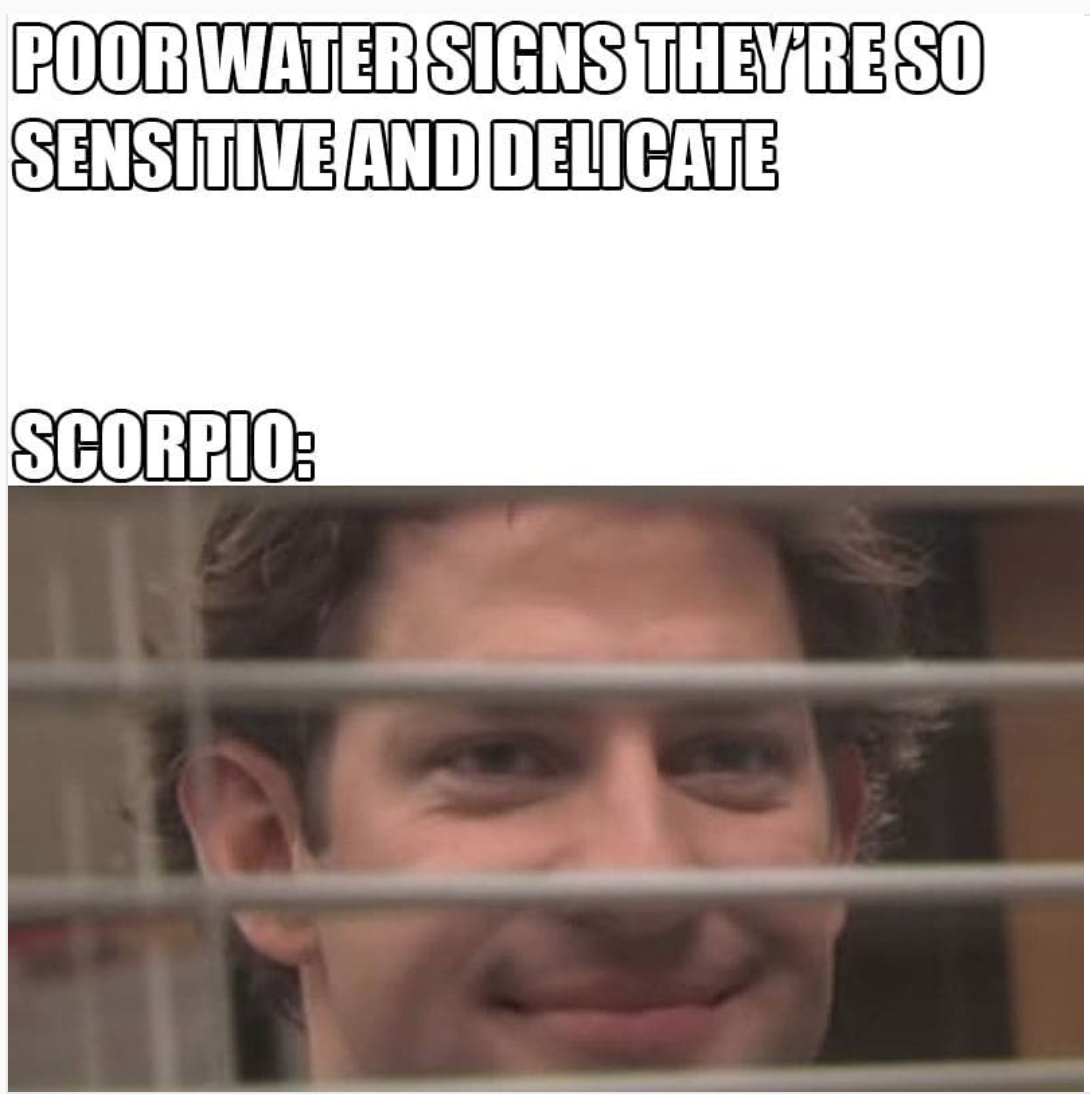 25 Scorpio Jokes That Are Just So Dang True