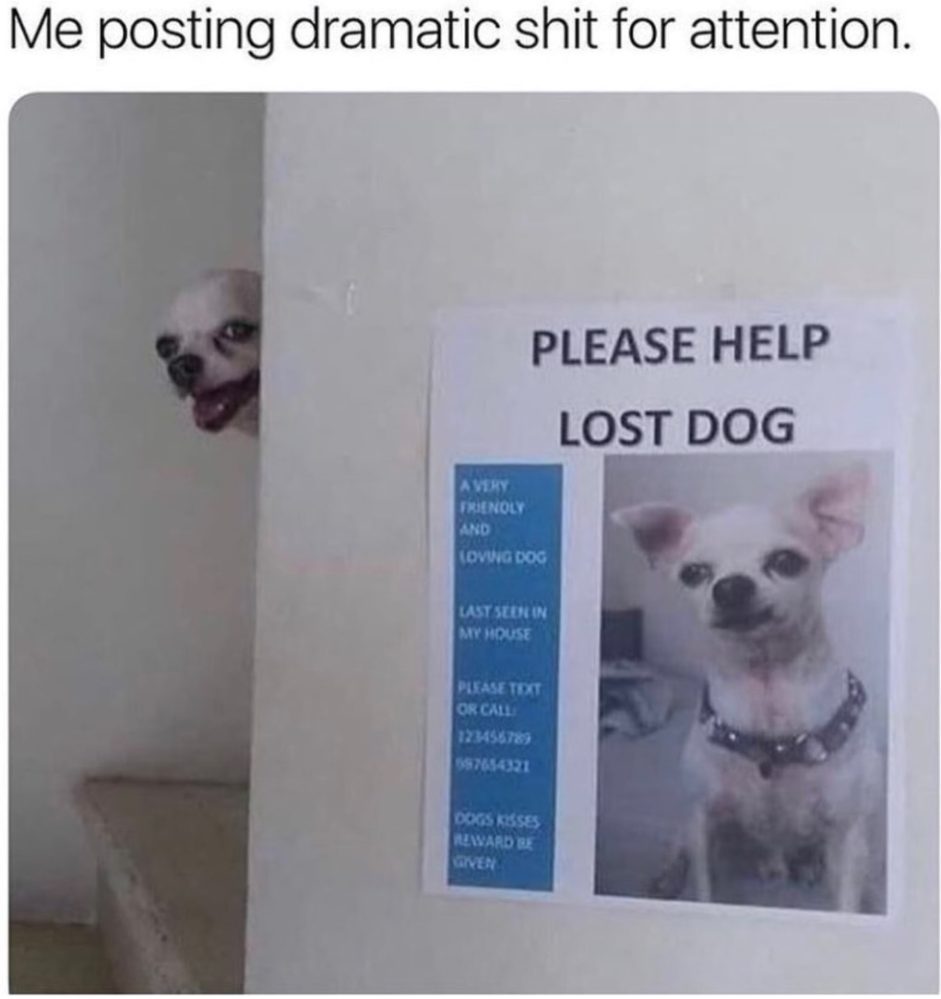 over dramatic meme 3